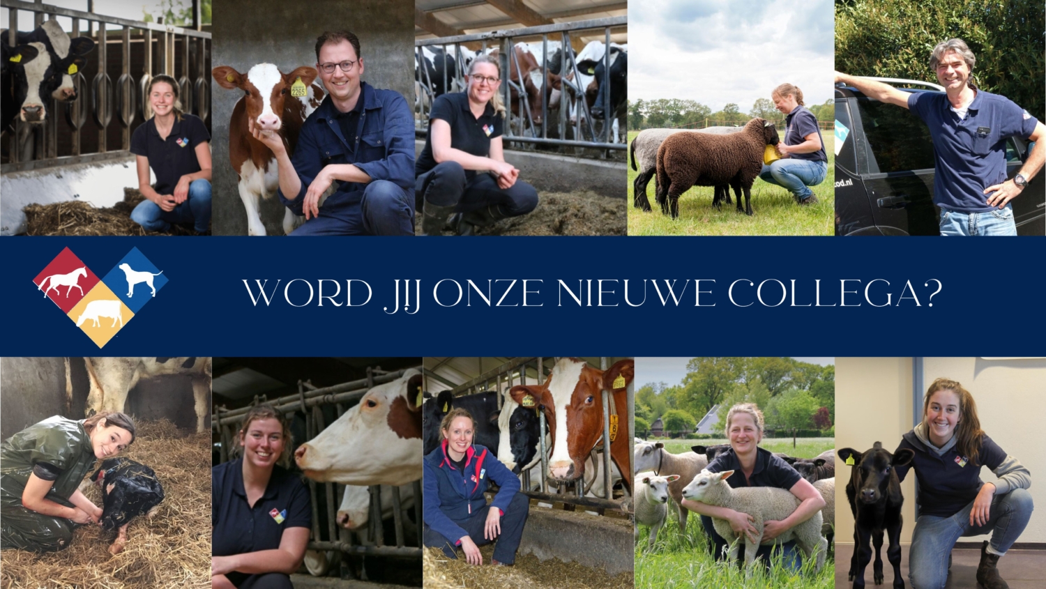 Wordt jij onze nieuwe collega - Diergeneeskundig Centrum Zuid-Oost Drenthe